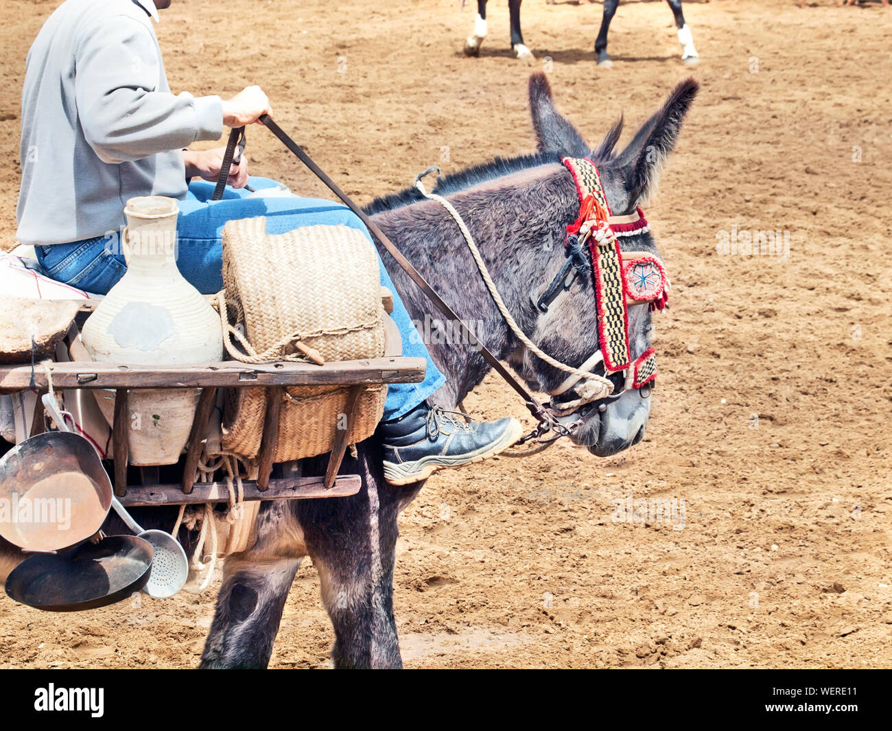 On donkey hi-res stock photography and images - Alamy