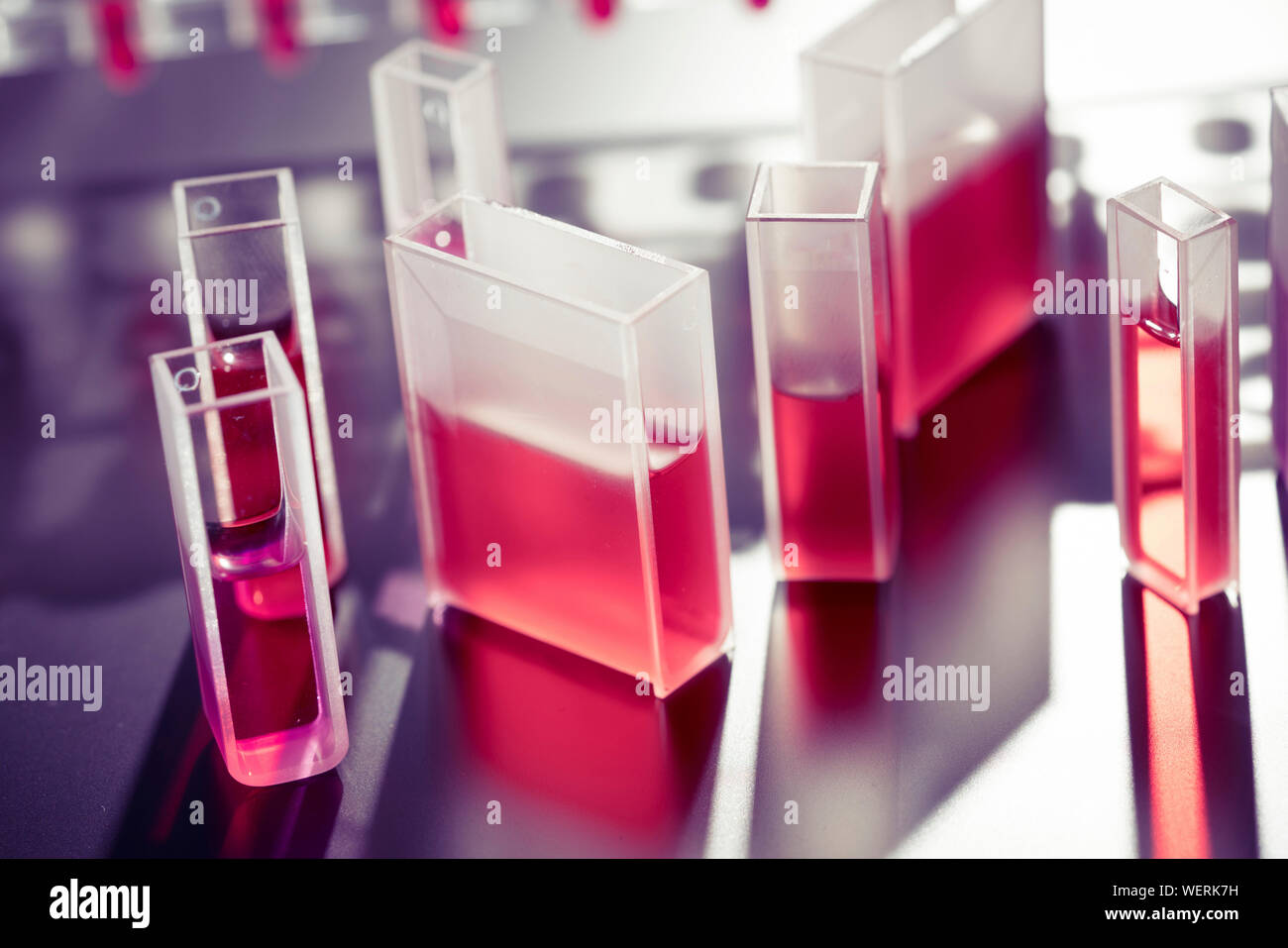 Samples in quartz cuvettes Stock Photo - Alamy