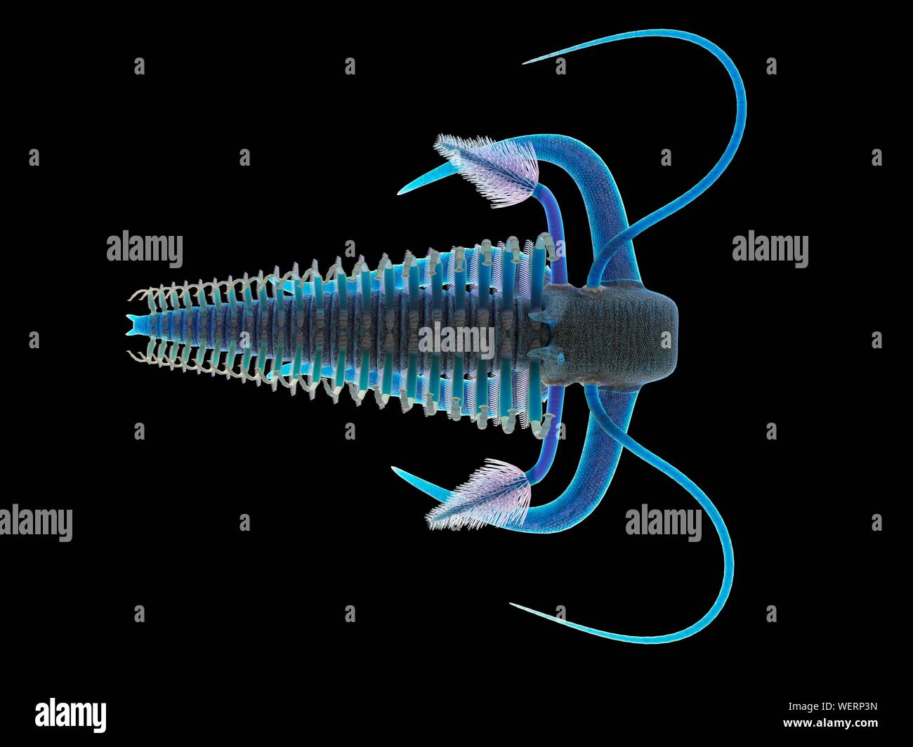 Prehistoric ocean illustration hi-res stock photography and images - Alamy