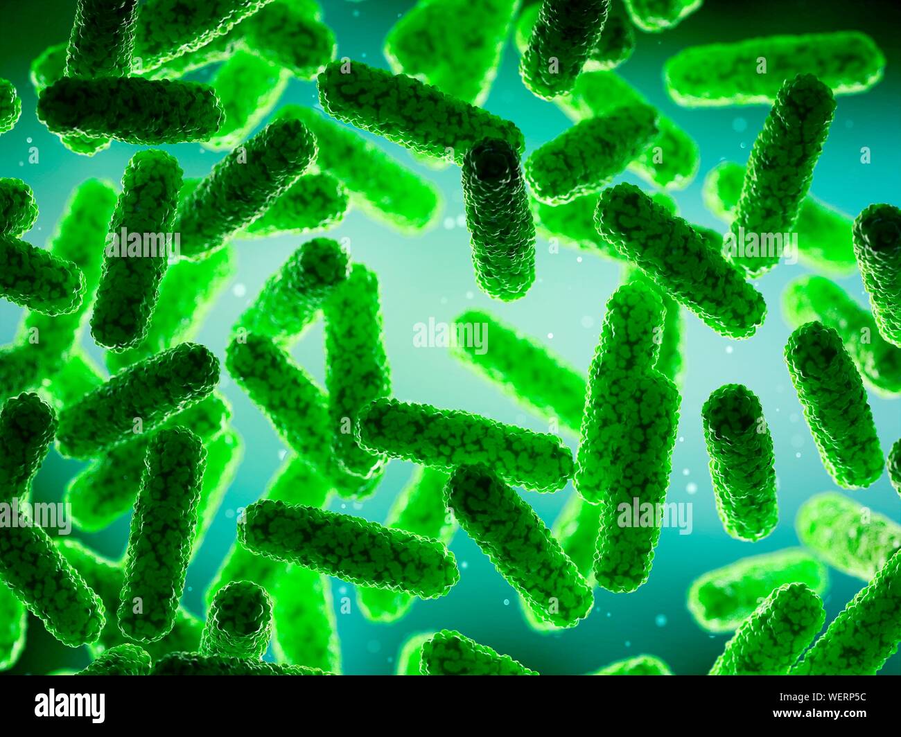 Bacteria graphic hi-res stock photography and images - Alamy