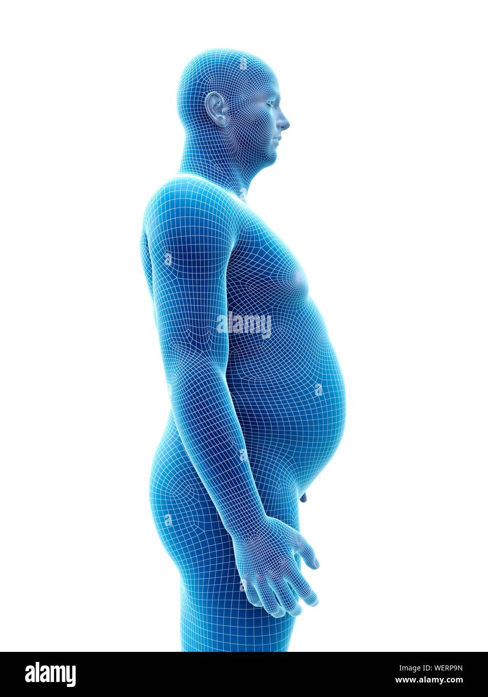 Obese man, illustration Stock Photo - Alamy