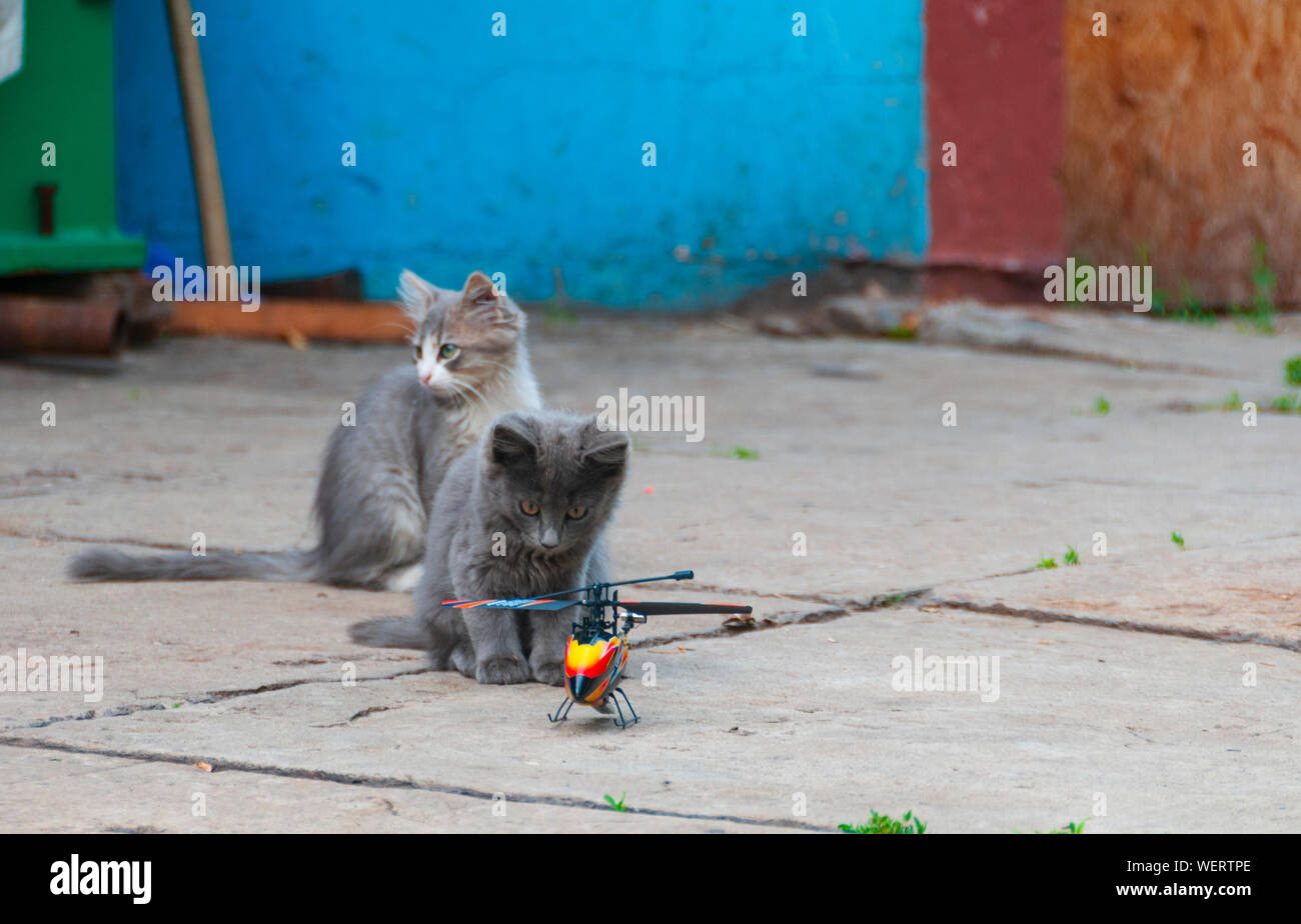 Very funny scene hi-res stock photography and images - Alamy
