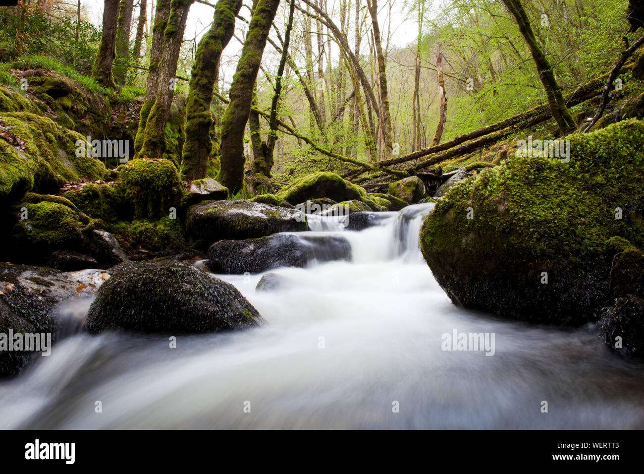 Beautiful river rocks hi-res stock photography and images - Alamy