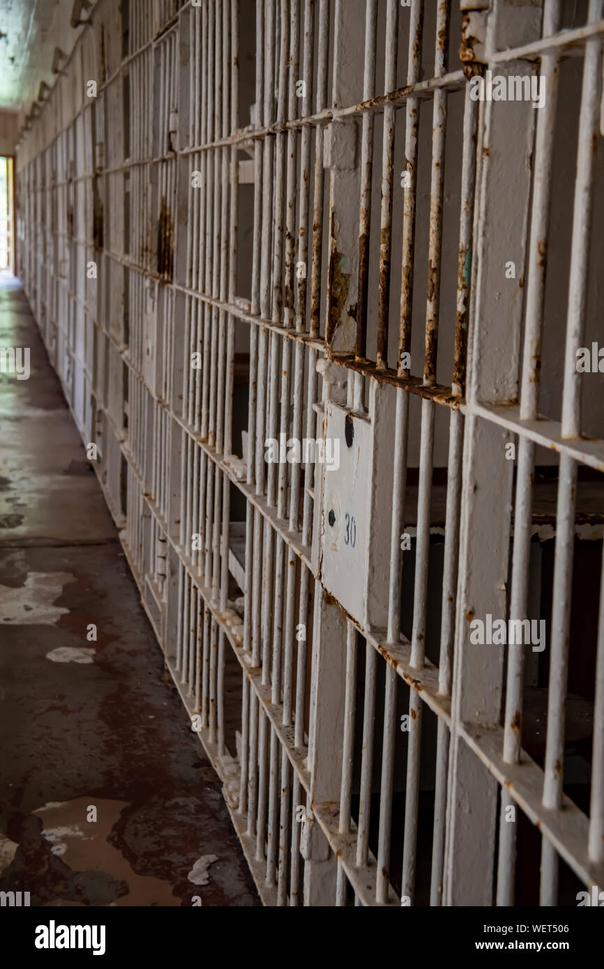 Empty cells hi-res stock photography and images - Alamy