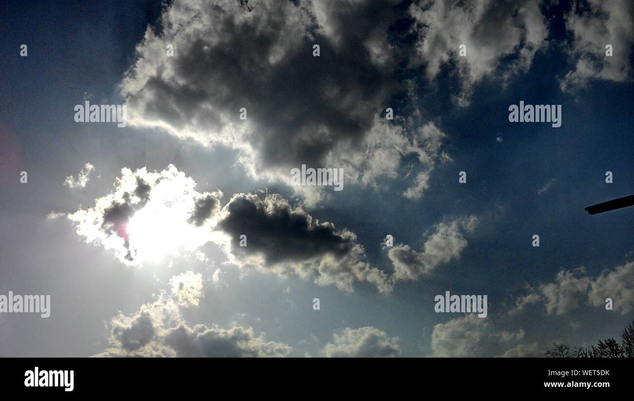 Backlit with sun hi-res stock photography and images - Alamy