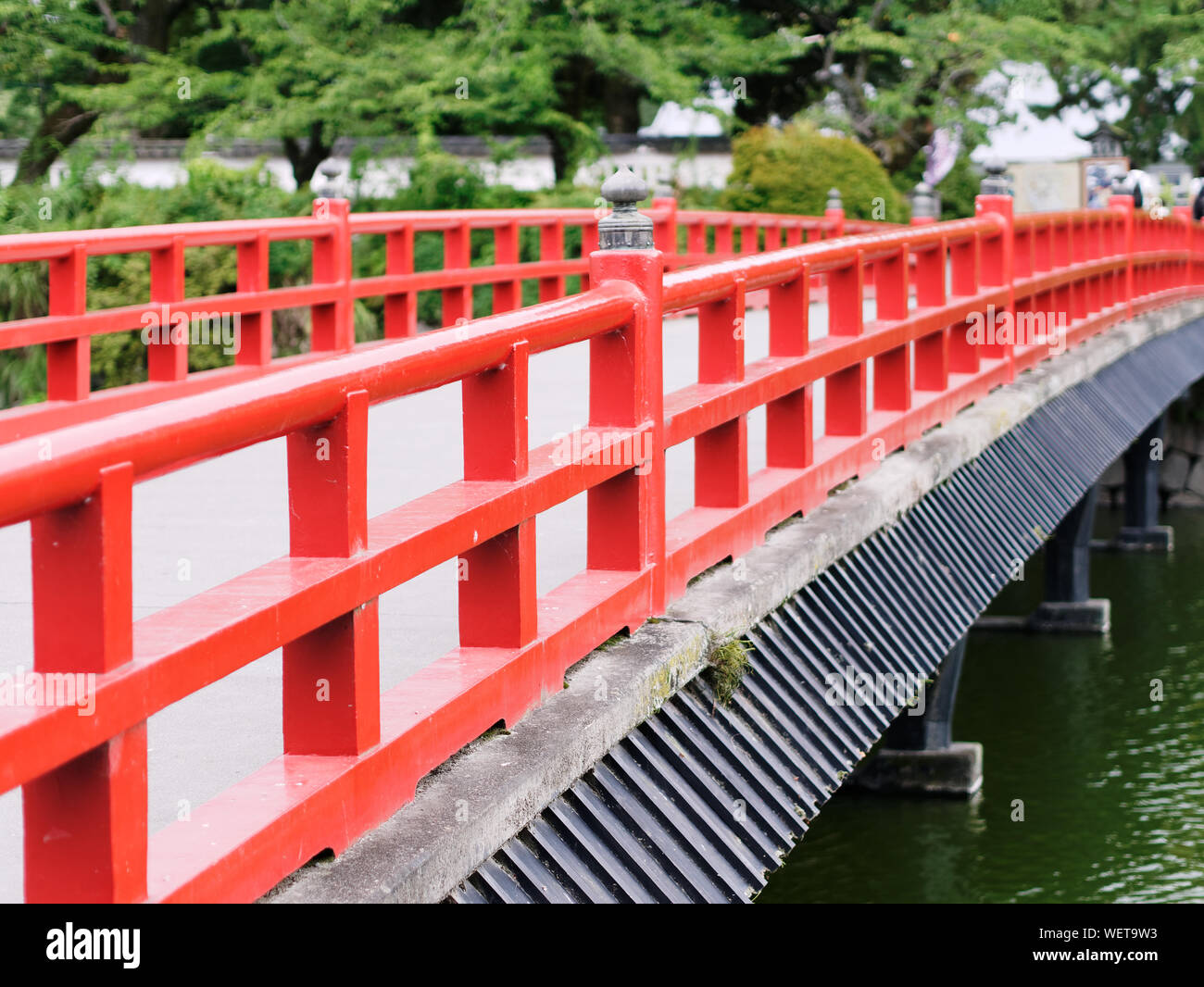 Japanese red pine trees hi-res stock photography and images - Alamy