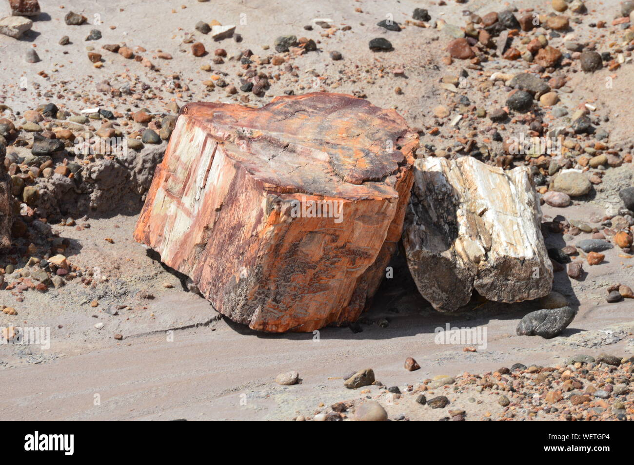 Desert wood hi-res stock photography and images - Alamy