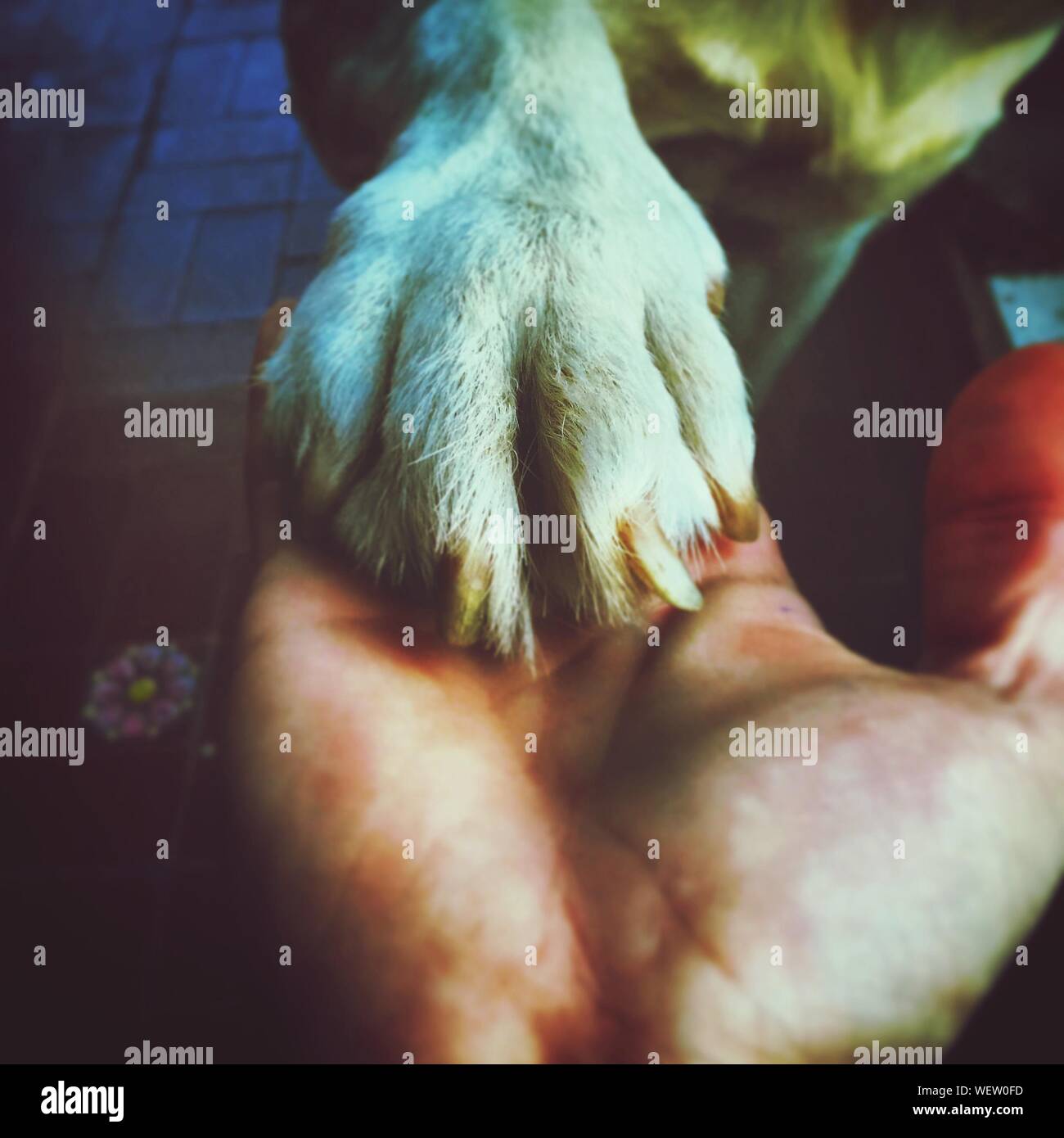 Hand on leg hi-res stock photography and images - Alamy