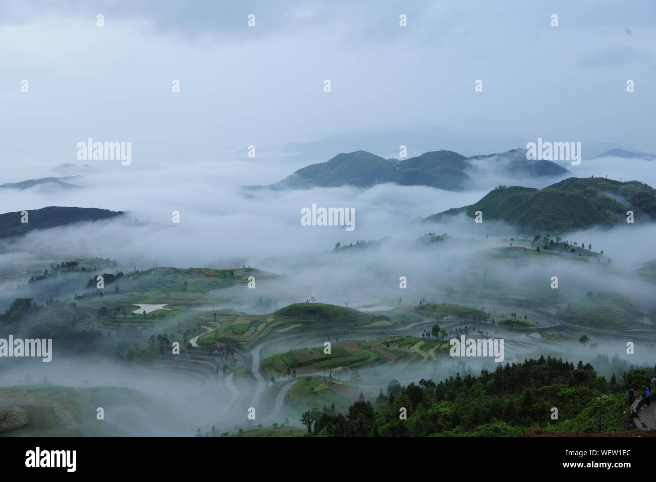 Fog fields hi-res stock photography and images - Alamy