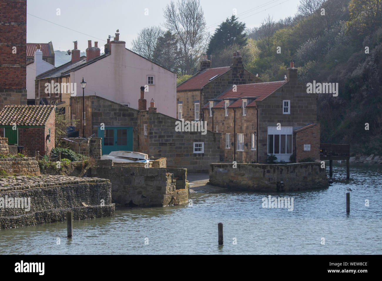 Fossil yorkshire hi-res stock photography and images - Alamy