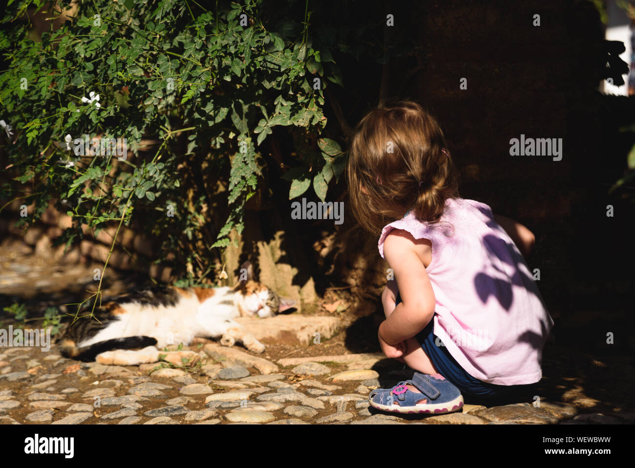 Rear Back View Crouching High Resolution Stock Photography and Images ...