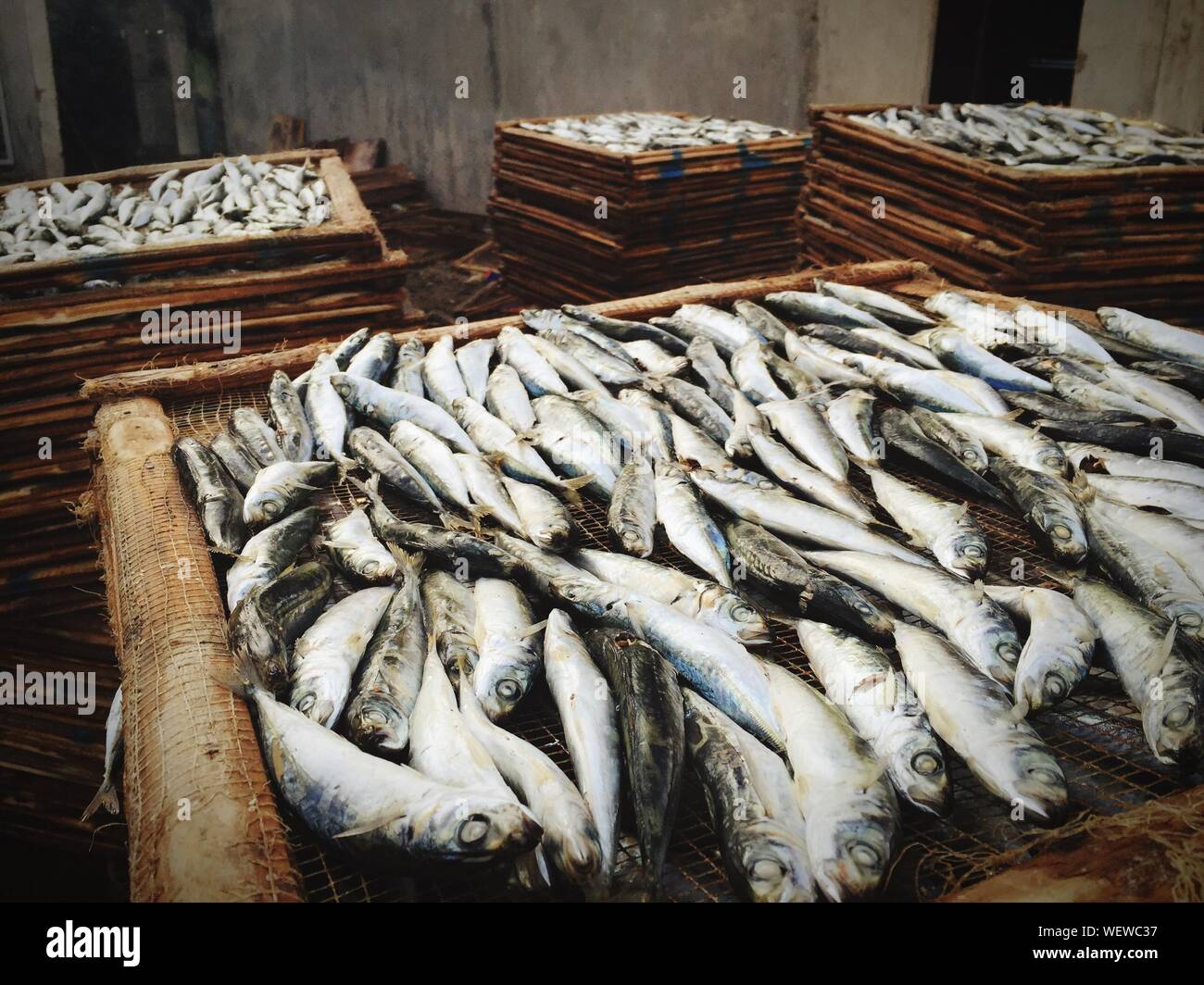 Fish Crate High Resolution Stock Photography and Images - Alamy