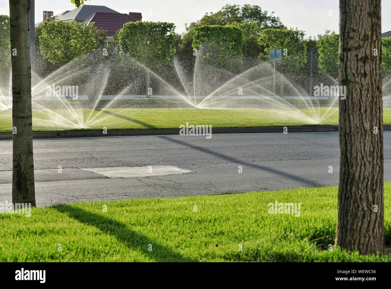 Sprinklers building hi-res stock photography and images - Alamy