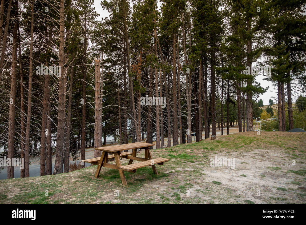 Woodland picnic table hi-res stock photography and images - Alamy