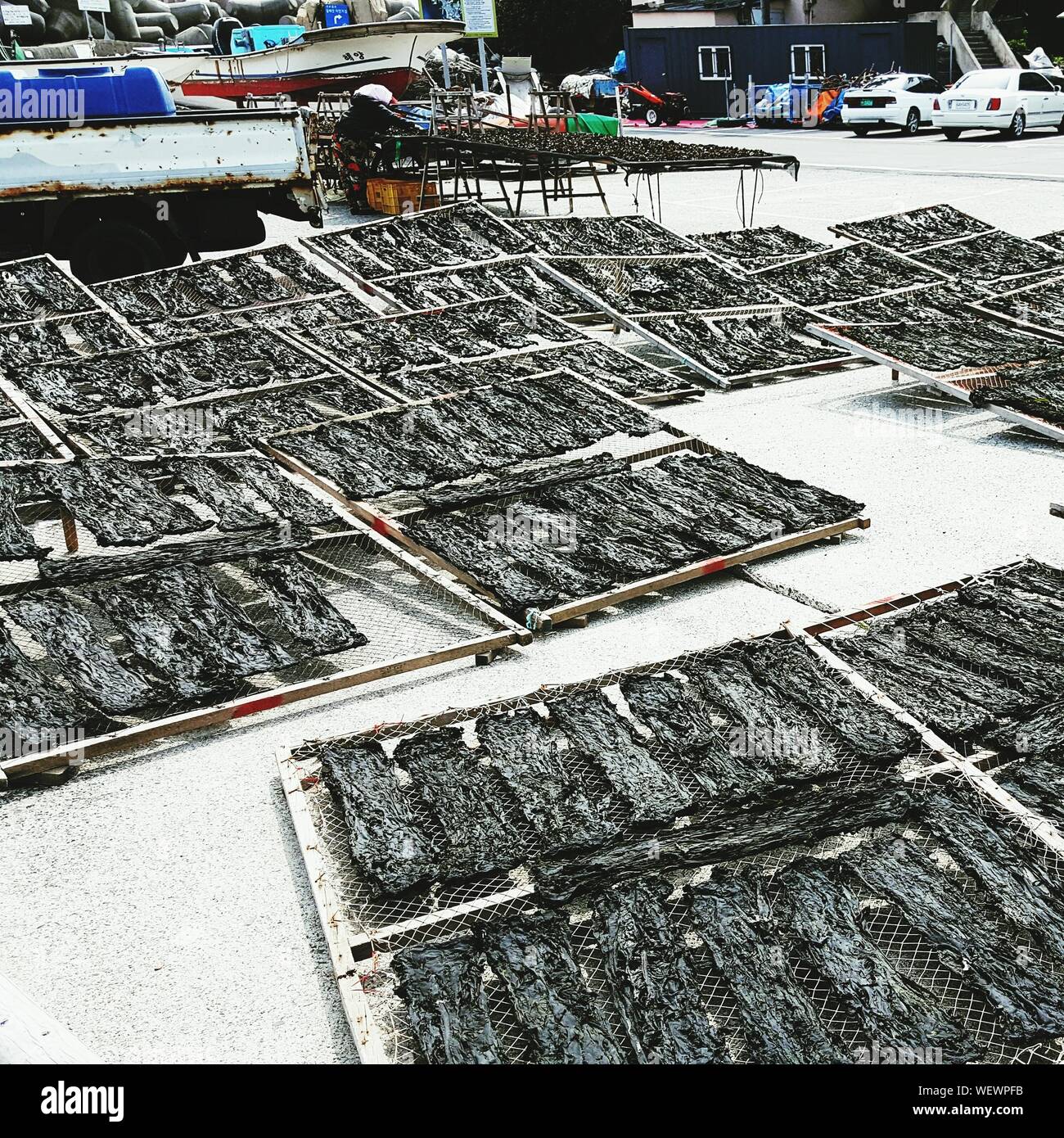 Seaweed dried seaweed drying hi-res stock photography and images - Alamy