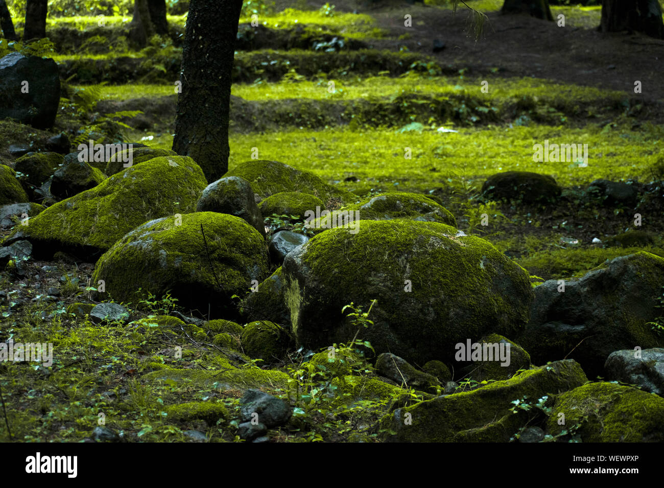 Old manali river hi-res stock photography and images - Alamy
