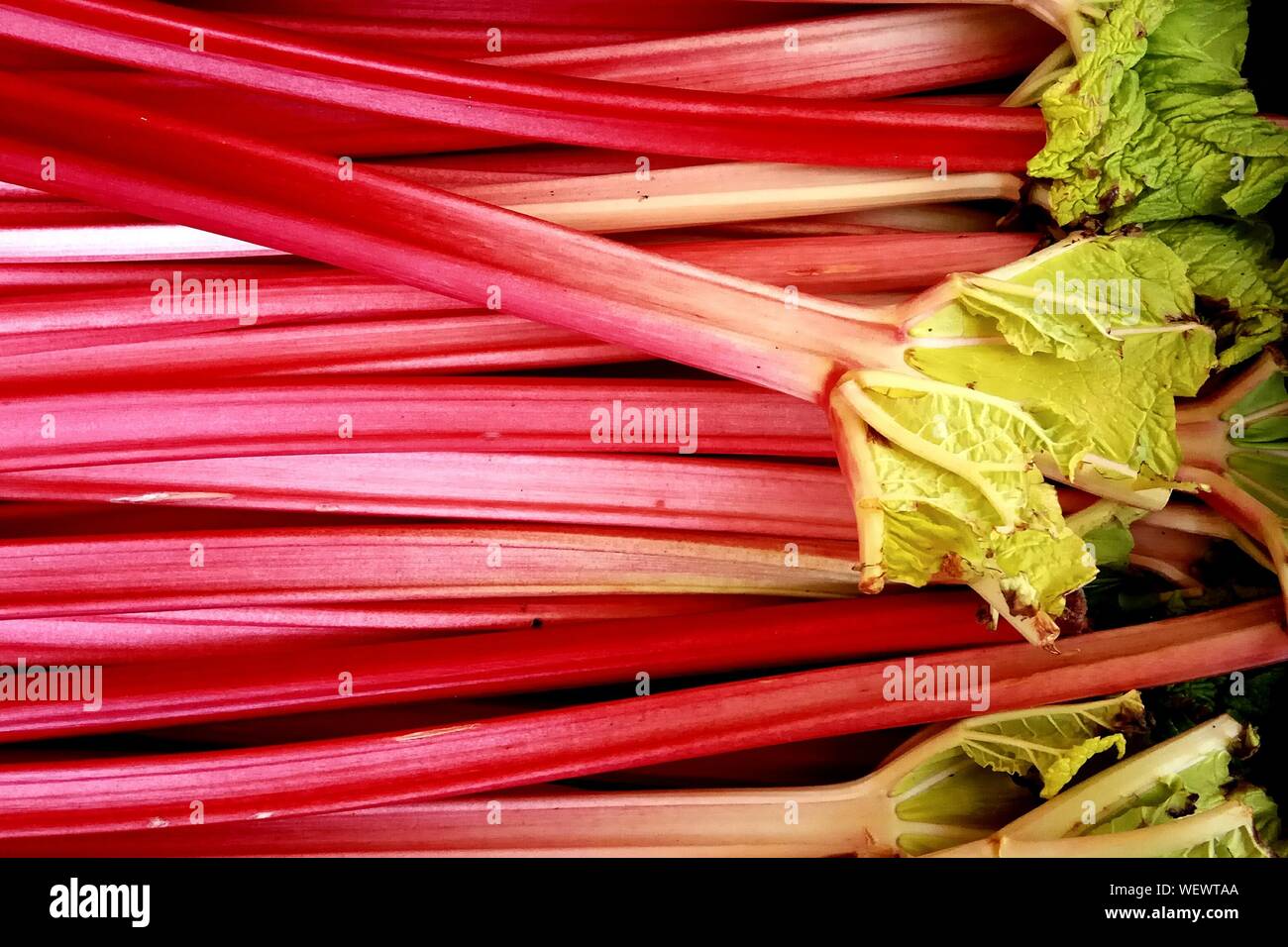 Red vegetables High Resolution Stock Photography and Images - Alamy