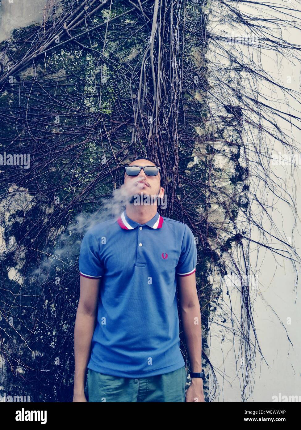 Indian creeper hi-res stock photography and images - Alamy