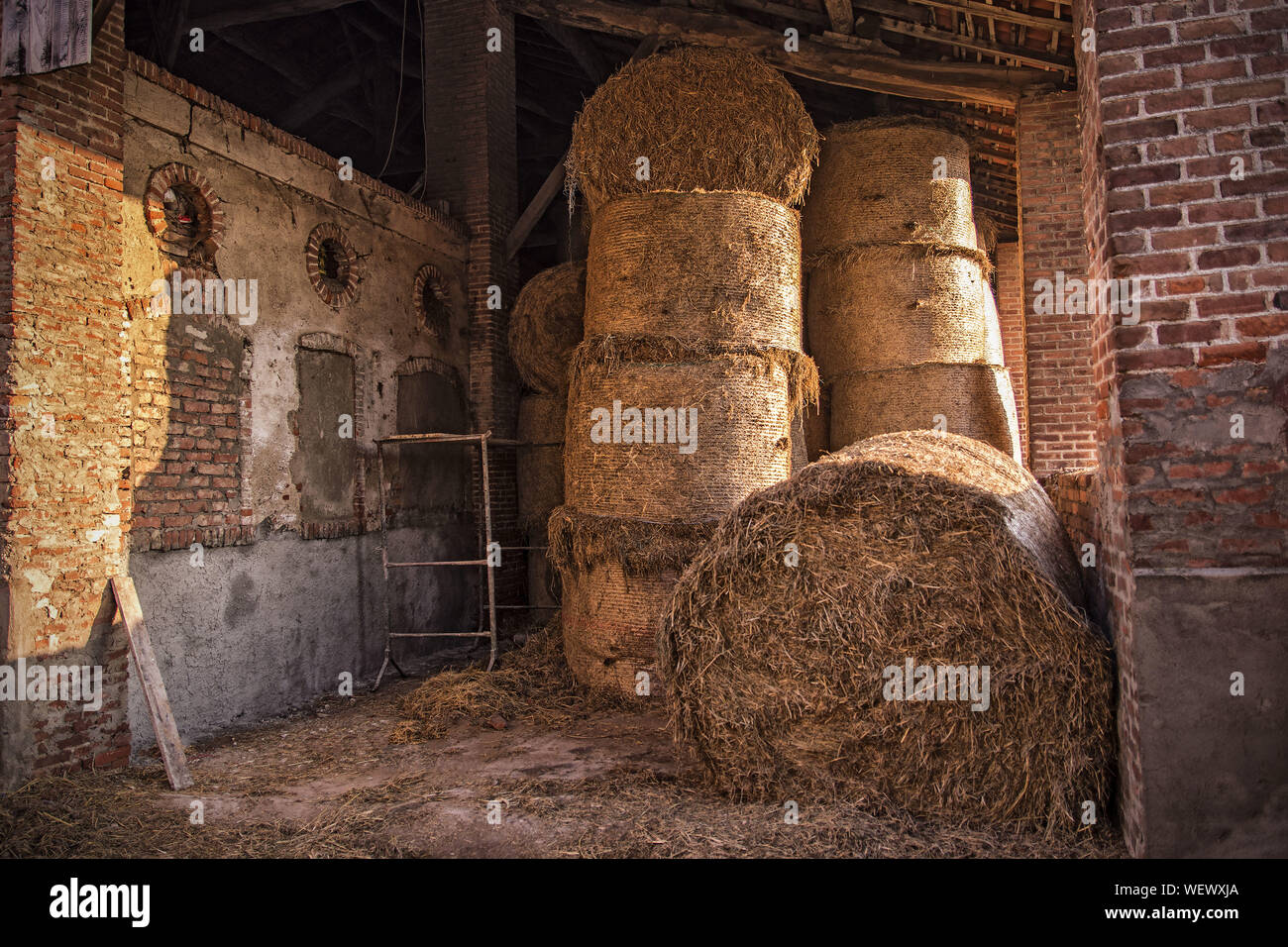 Messy barn hi-res stock photography and images - Alamy