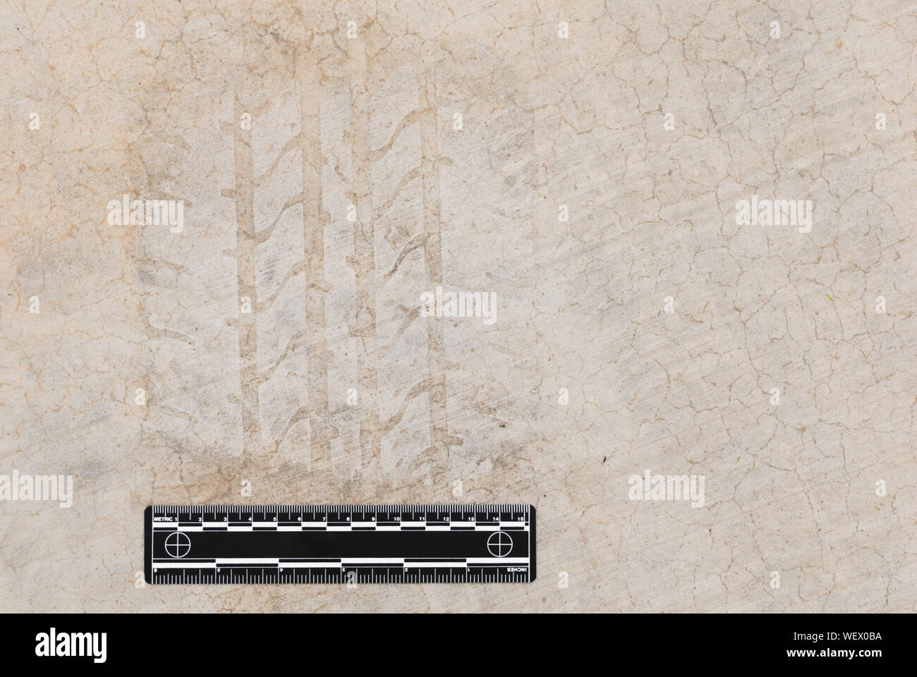 Crime scene ruler hi-res stock photography and images - Alamy