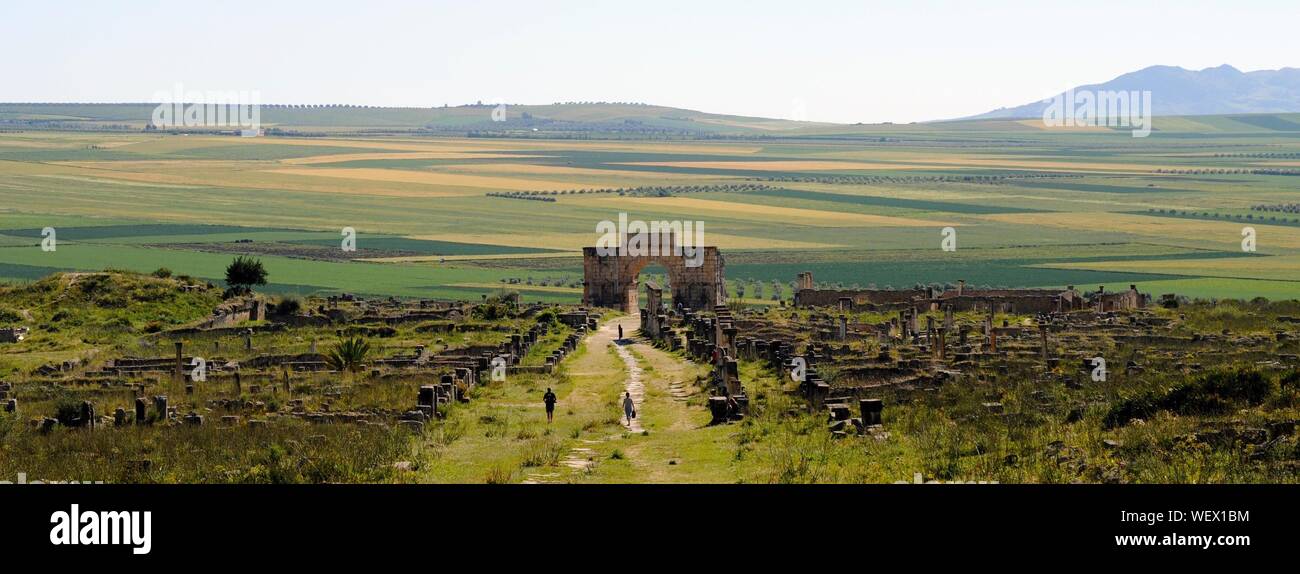 Old farm ruins hi-res stock photography and images - Alamy