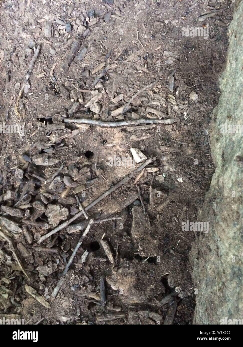 Ground feature hi-res stock photography and images - Alamy