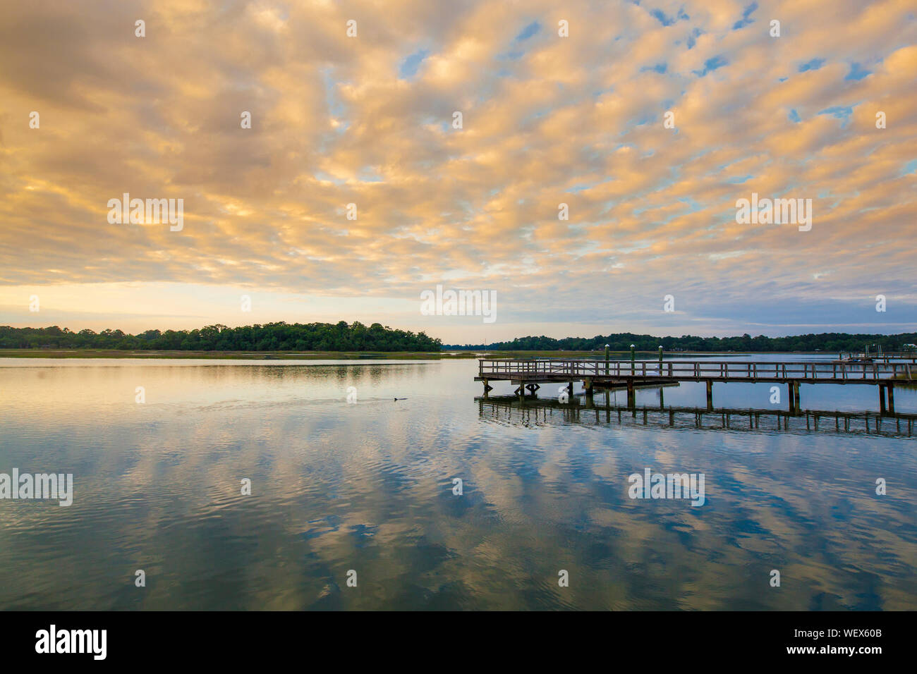 Lowcountry landscape hi-res stock photography and images - Alamy