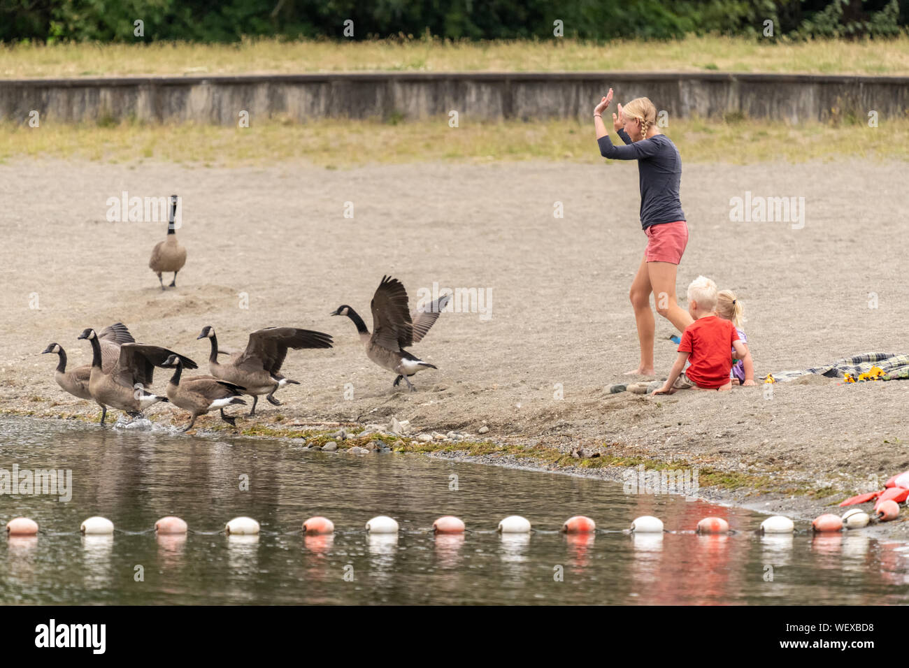 Boy chasing bird hi-res stock photography and images - Alamy