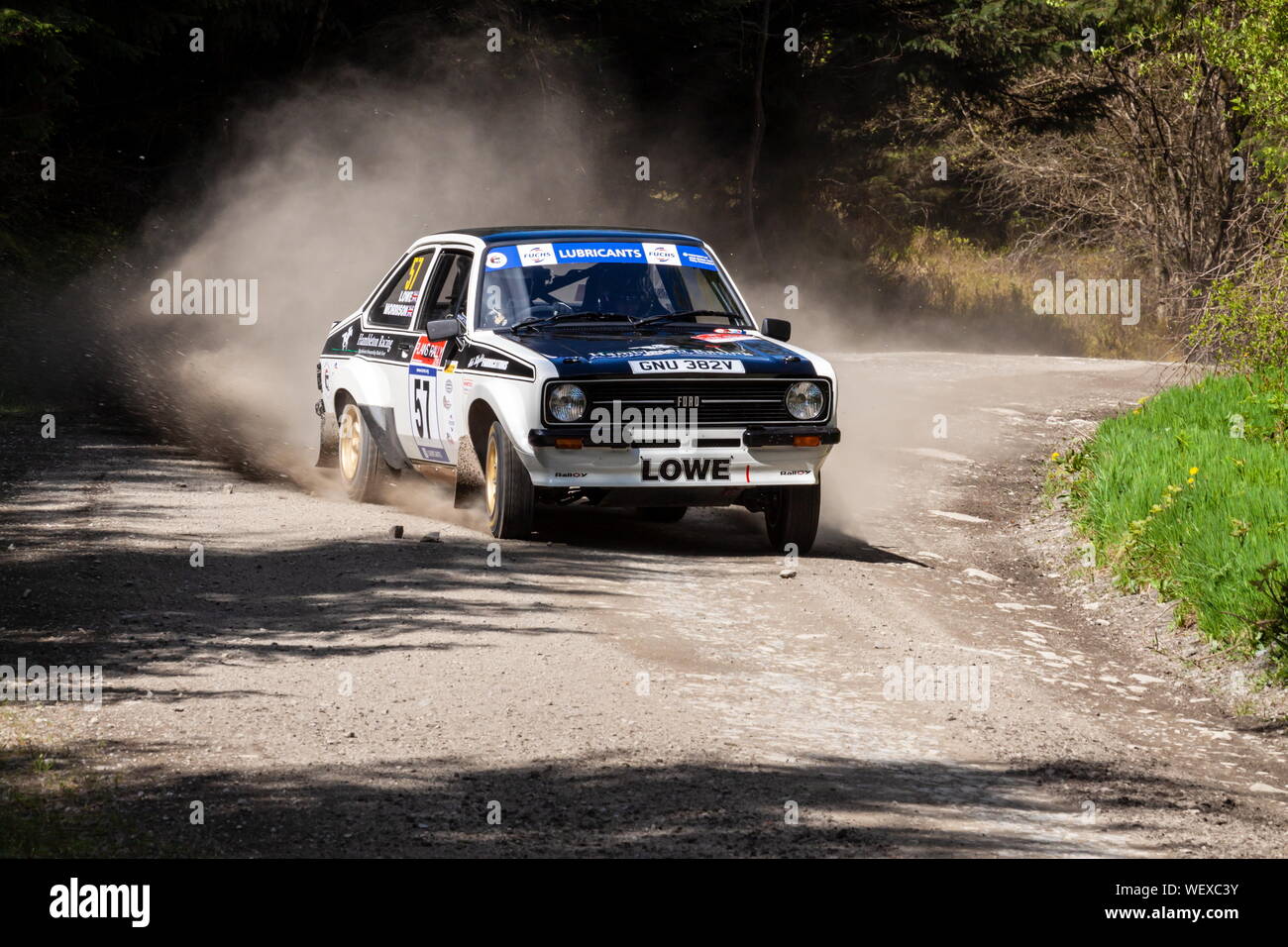 A Ford Mkii Escort rally car races through Dyfnant forest on the Plains ...
