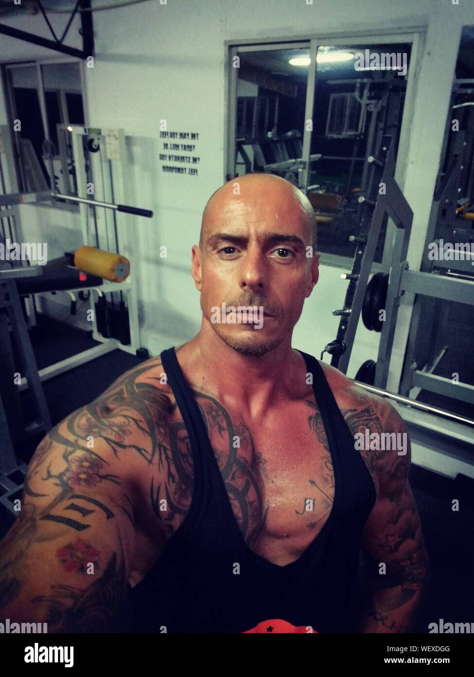 Portrait muscular mid adult man hi-res stock photography and images - Alamy