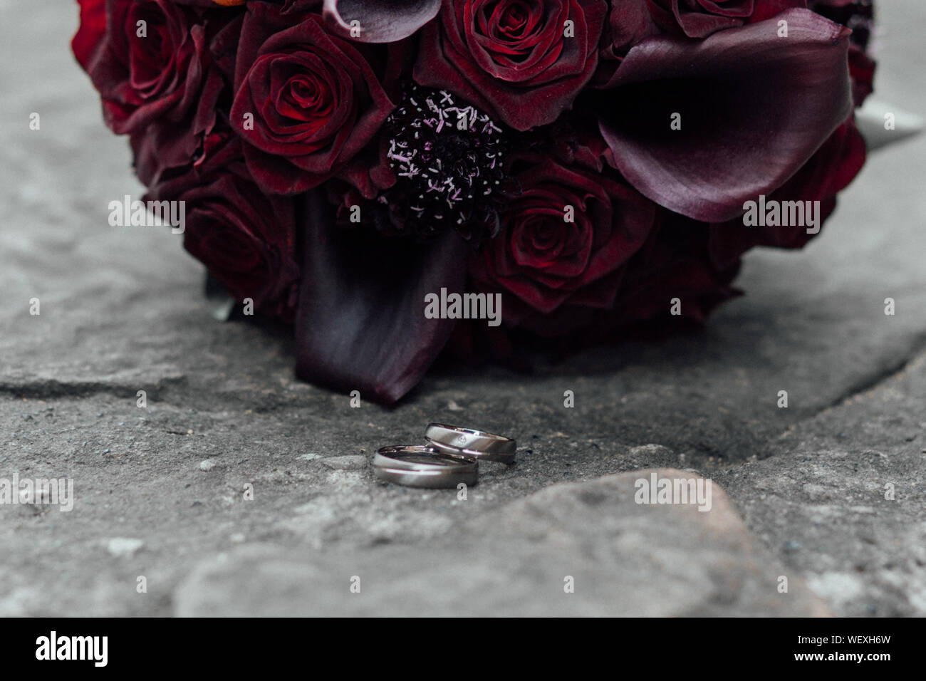 Red rose with wedding rings hi-res stock photography and images - Alamy