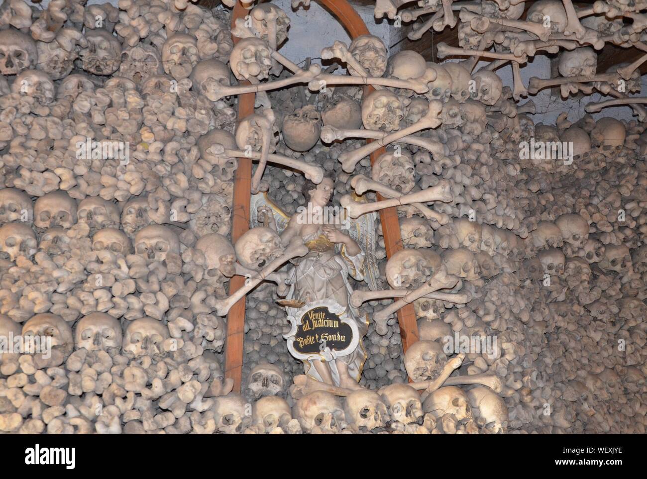 Scattered bones and skulls hi-res stock photography and images - Alamy
