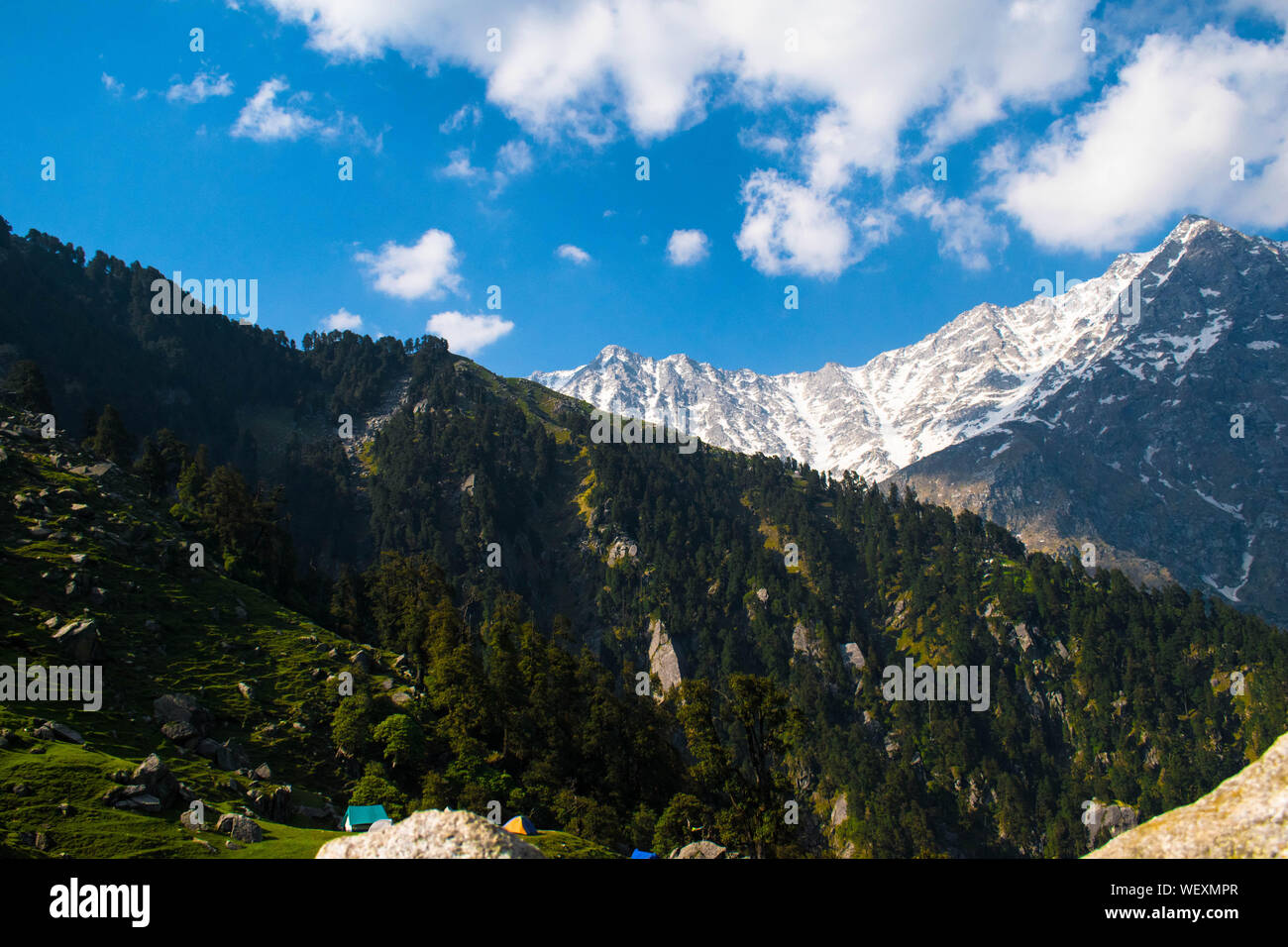 Great green mountain ranges. Peaks surrounded by green plants and a ...