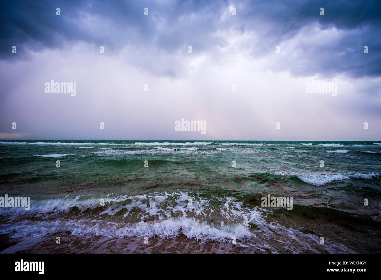 Dramatic stormy weather view of tropical waves with an infestation of ...