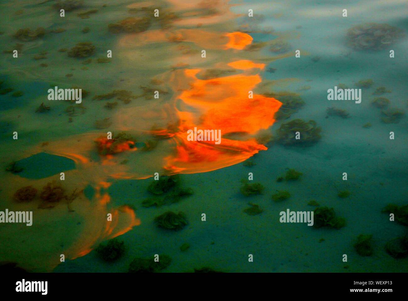 Blue flame water hi-res stock photography and images - Alamy