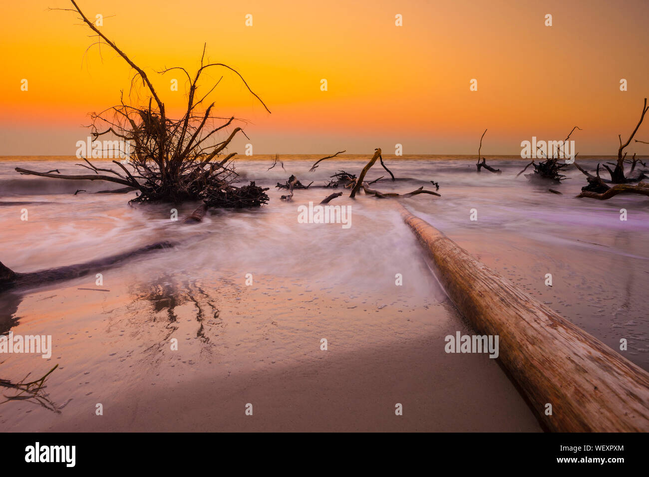 Driftwood in the ocean hi-res stock photography and images - Alamy