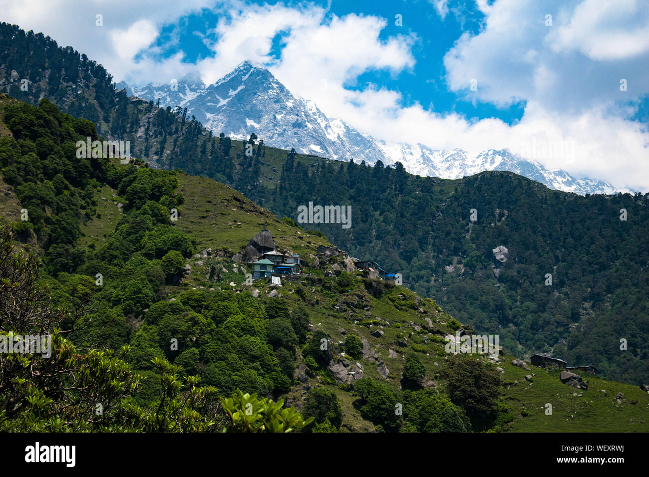 Great green mountain ranges. Peaks surrounded by green plants and a ...