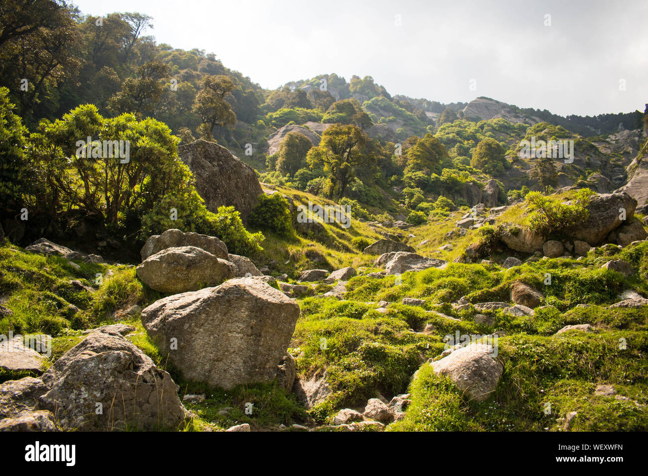 Rock formations covered with greenery in the mountains. Part of the ...