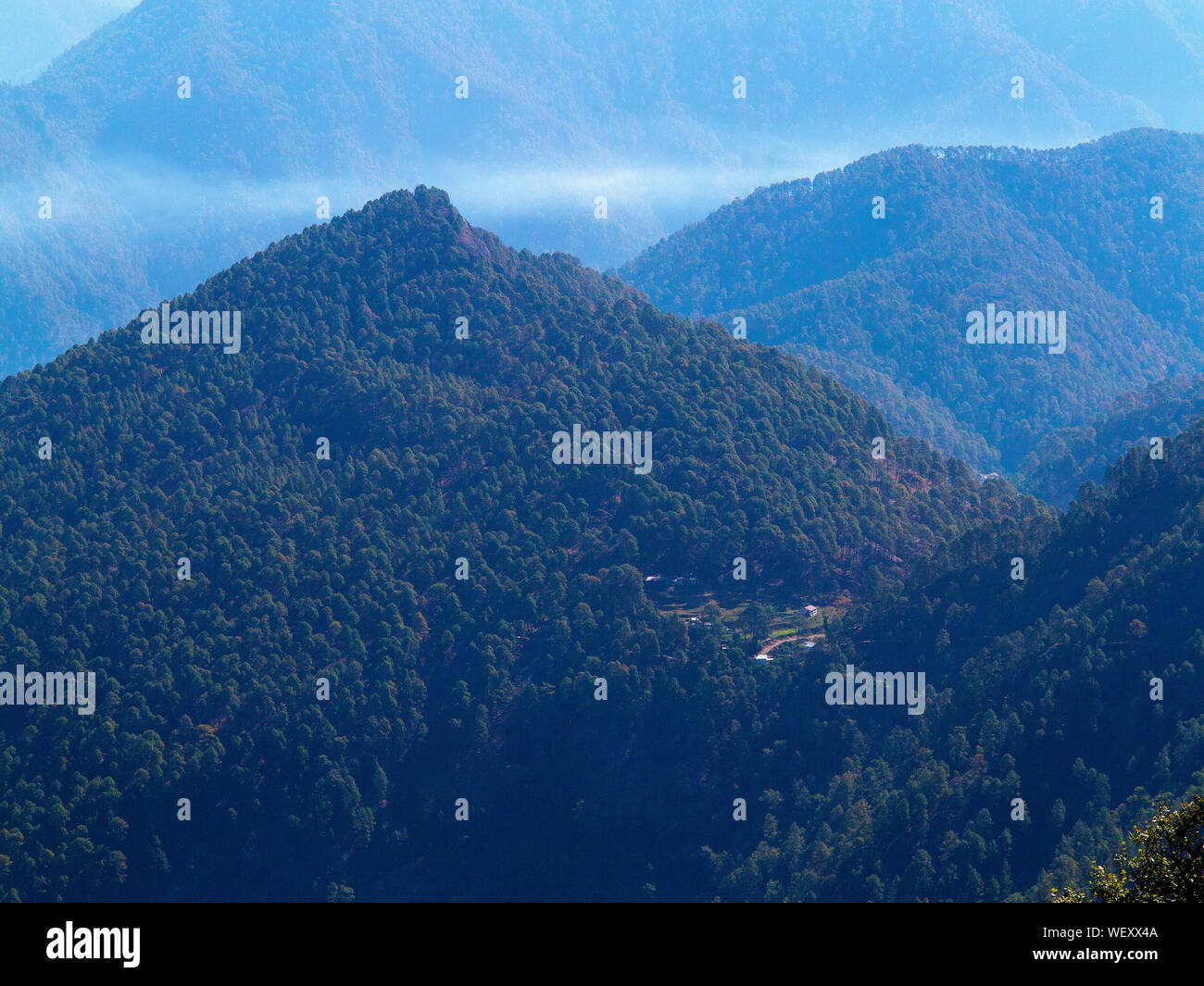 Village surrounded by dense jungle on Kumaon Hills north of Nainital ...