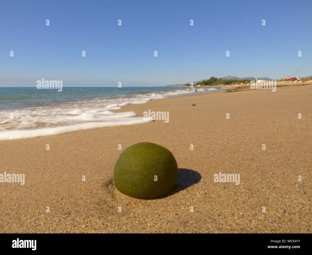 Strange Rock High Resolution Stock Photography and Images - Alamy