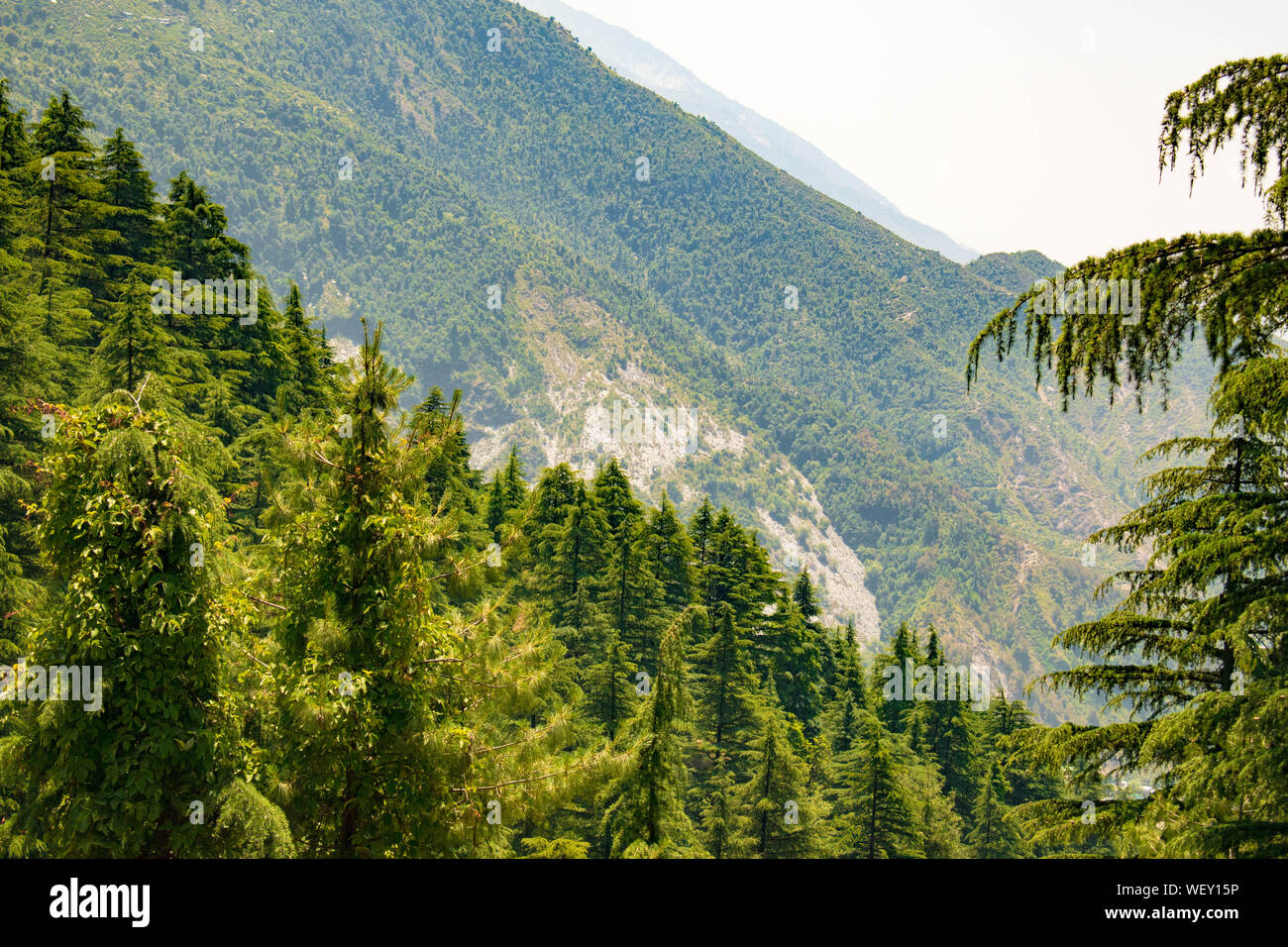 Great green mountain ranges. Peaks surrounded by green plants and a ...