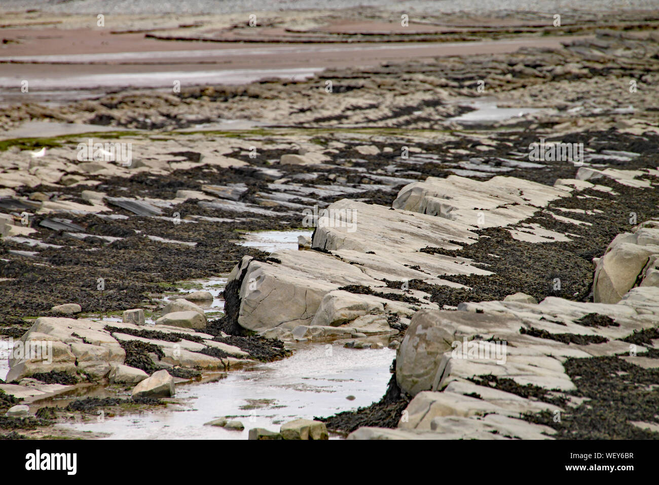 Pebbles rocks crack geology hi-res stock photography and images - Alamy