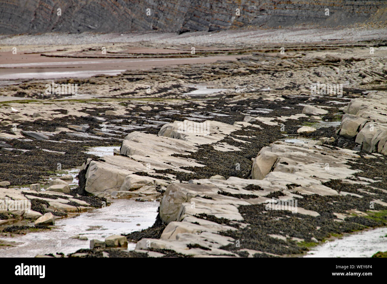 Pebbles rocks crack geology hi-res stock photography and images - Alamy