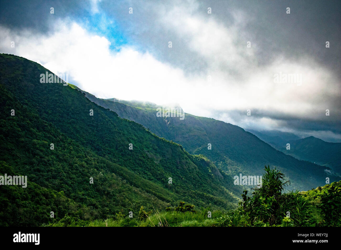 Great green mountain ranges. Peaks surrounded by green plants and a ...