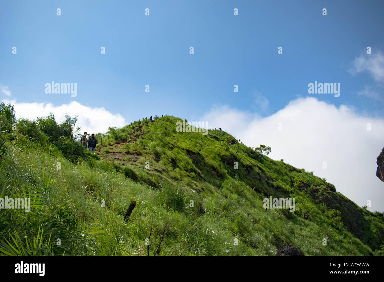 Great green mountain ranges. Peaks surrounded by green plants and a ...