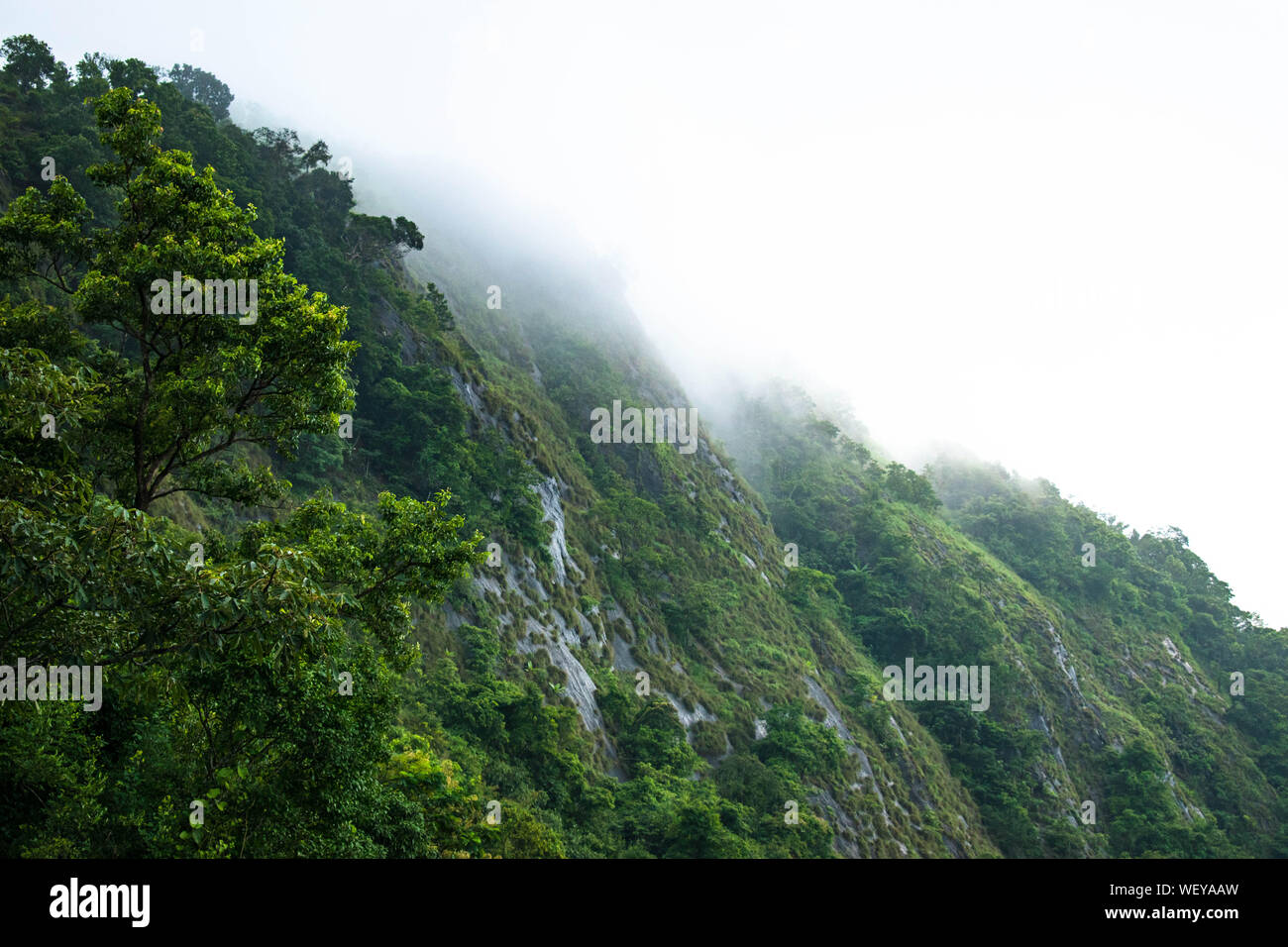 Awesome rice terrace hi-res stock photography and images - Alamy