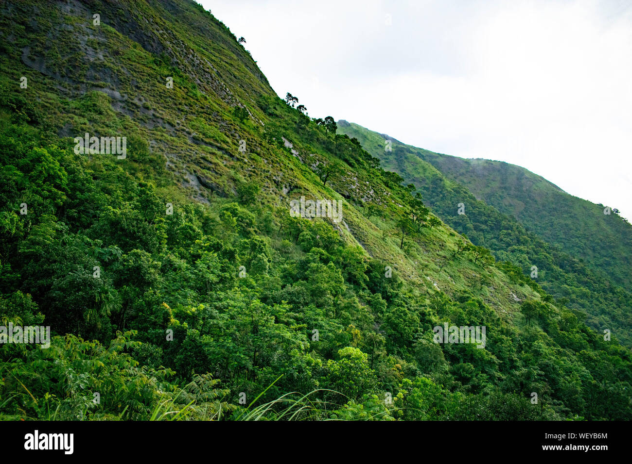 Great green mountain ranges. Peaks surrounded by green plants and a ...
