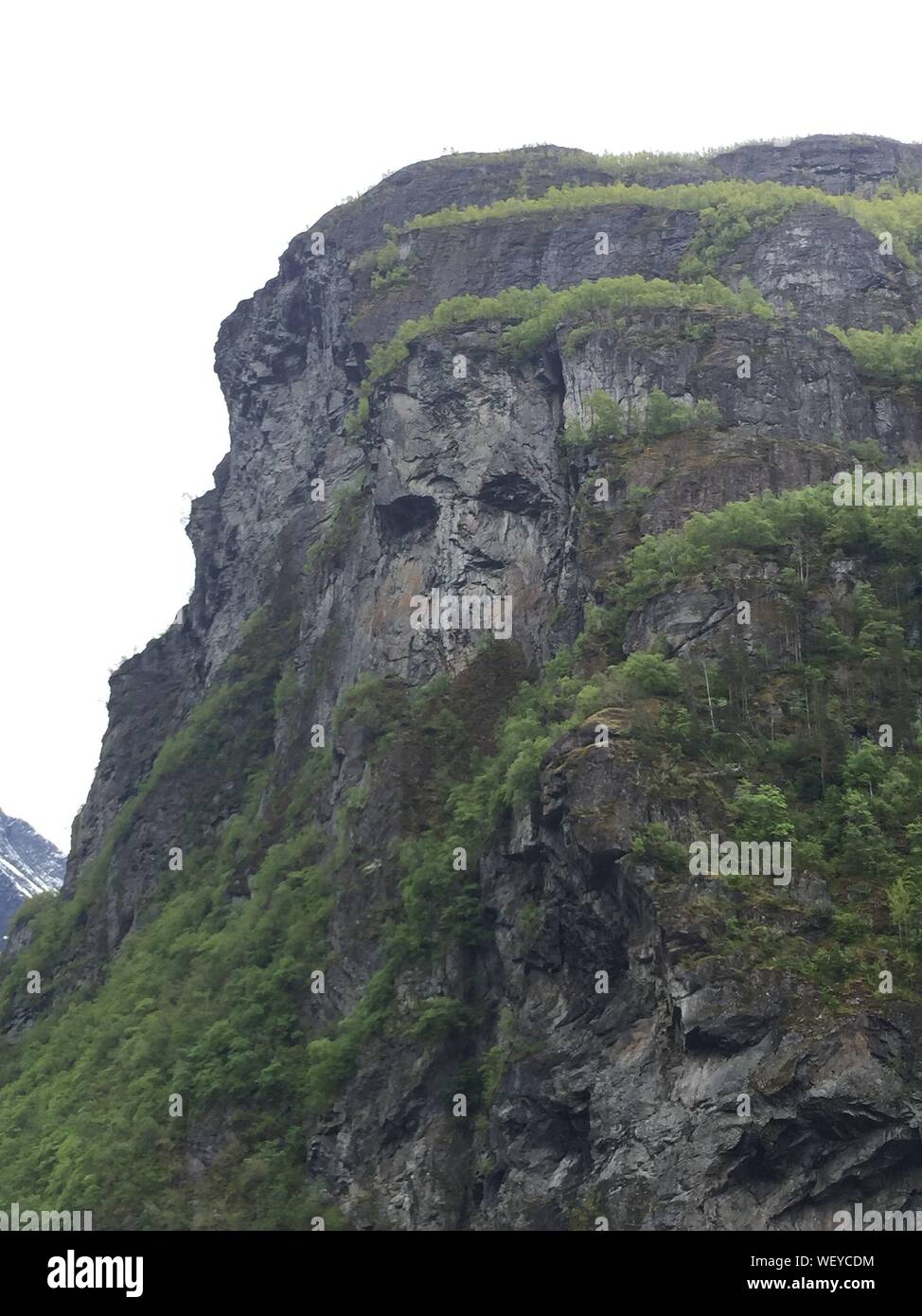 Rock vegetation plant hi-res stock photography and images - Alamy