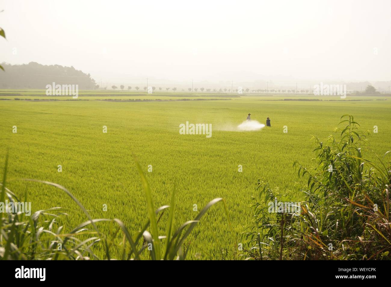 Farmers view hi-res stock photography and images - Alamy