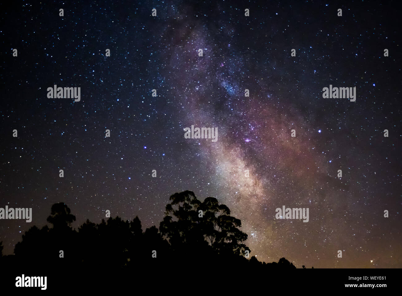 Tomar portugal night hi-res stock photography and images - Alamy